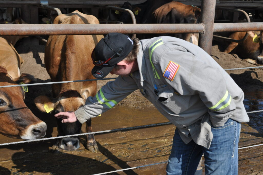 Renewable Natural Gas (RNG) - Sapphire Gas Solutions